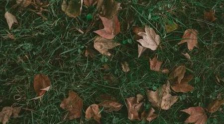 Earthing / Grounding, a solution to relieve or even cure fibromyalgia ...