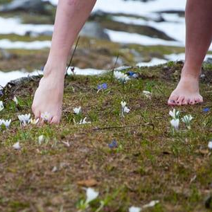 Free Shipping - The Best Grounding Mat - Realyou Earthing Products ...